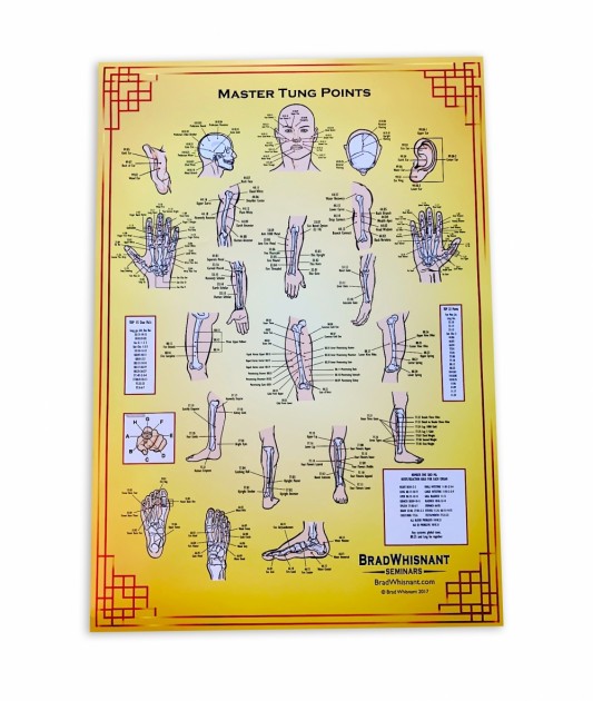 Plakat/Poster Master Tung Points (points chart) 70x100cm ...